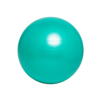55 cm / 22 inch Balance Ball - dotiti.com